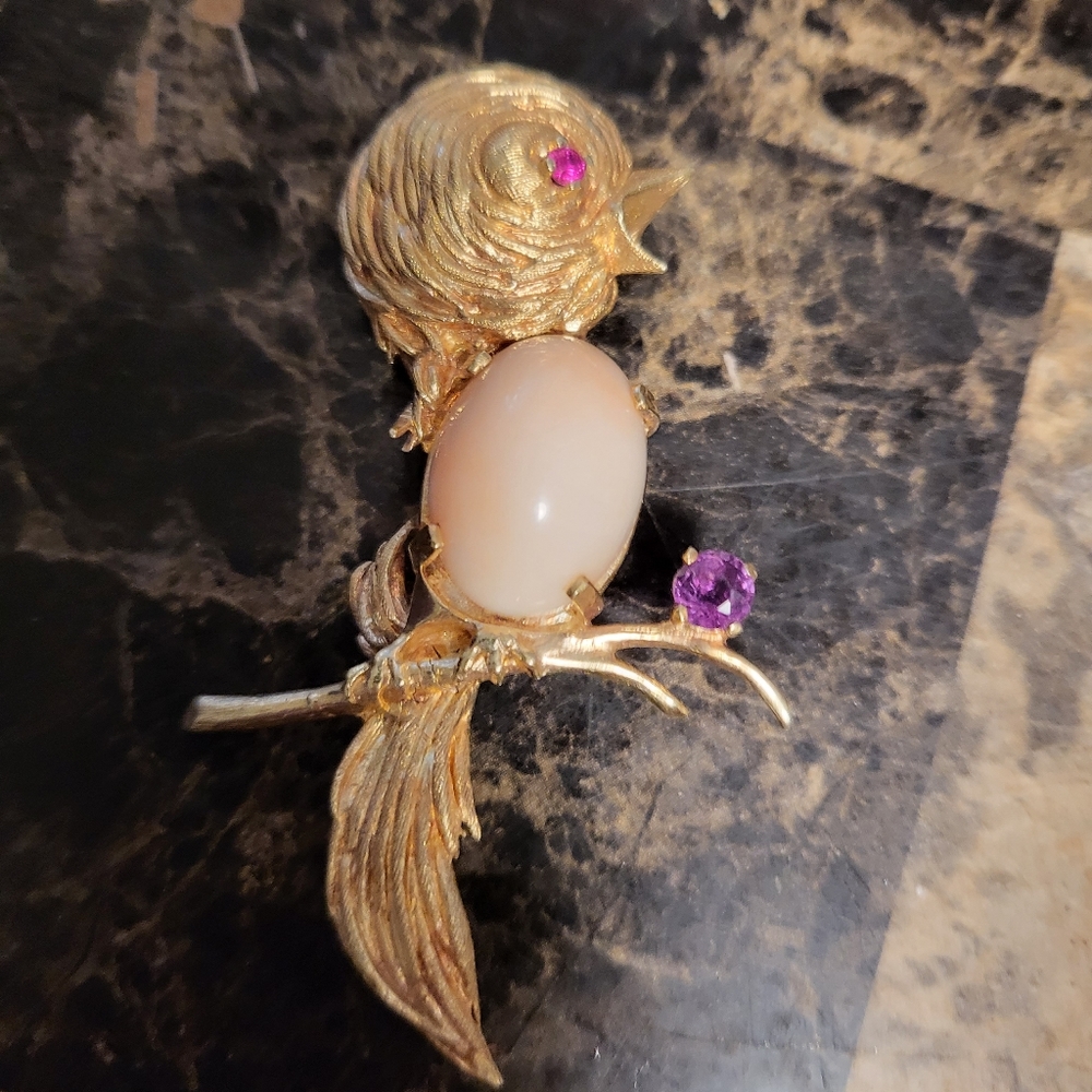 Antique/Vintage 14k Coral Jelly Belly Brooch With Rub… - Gem